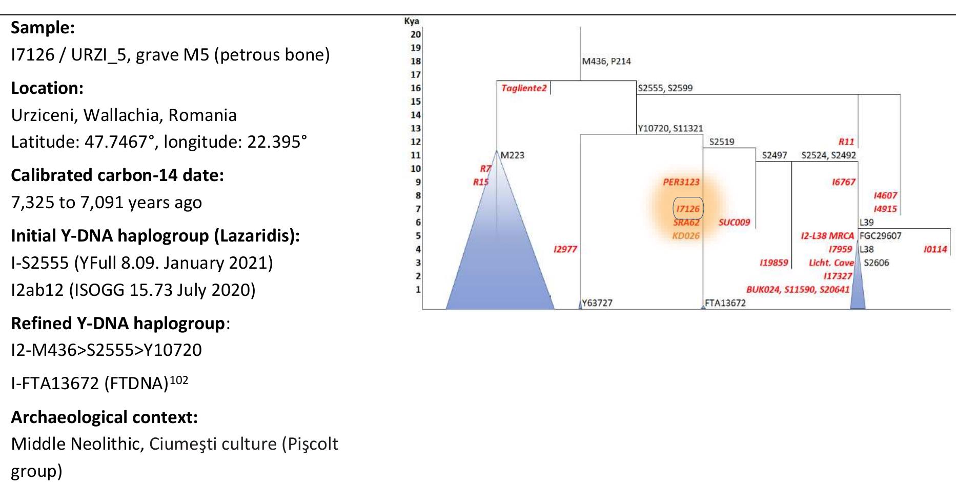 Figure 17 - from The a DNA Pathway of I2 S2555 to I2 L38