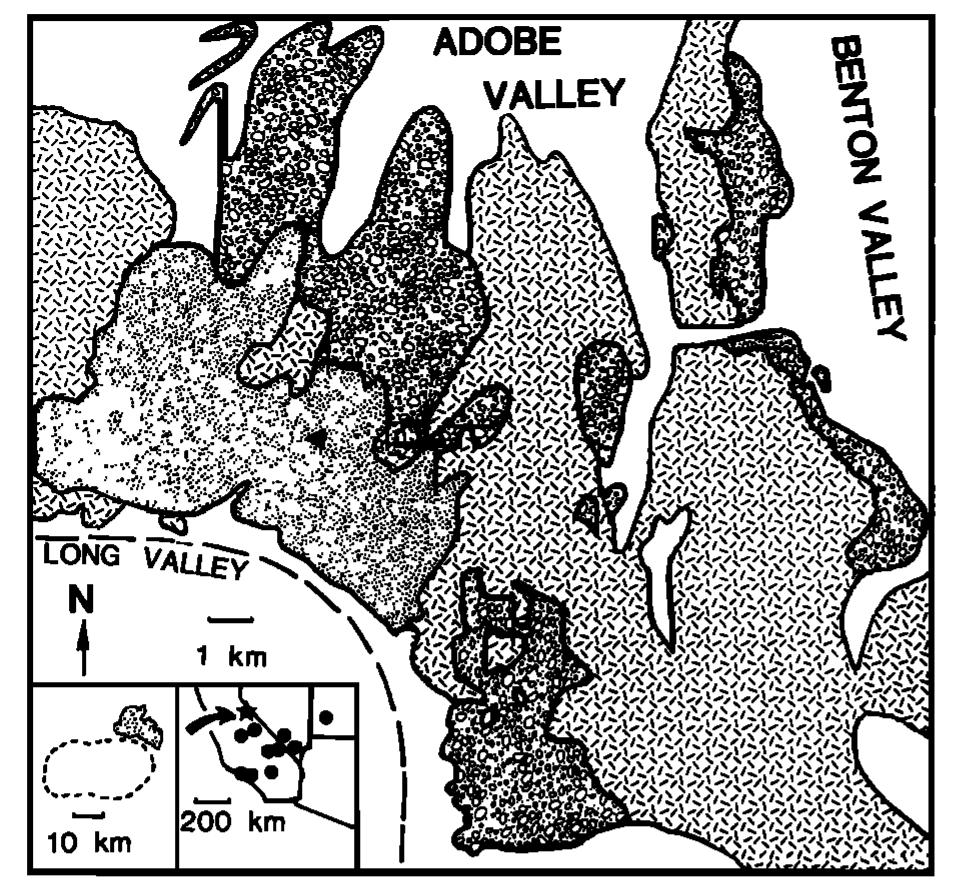 Figure 1 - Precursors to the Bishop Tuff Eruption: Glass