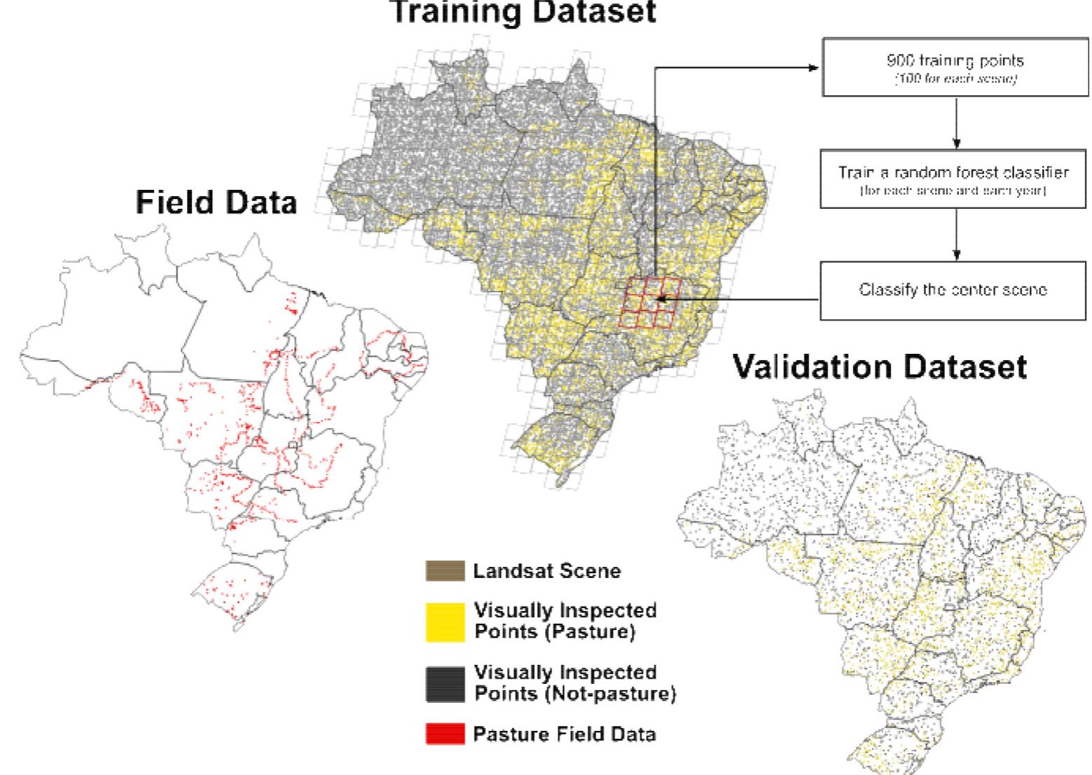 The classification process considered a geographic and