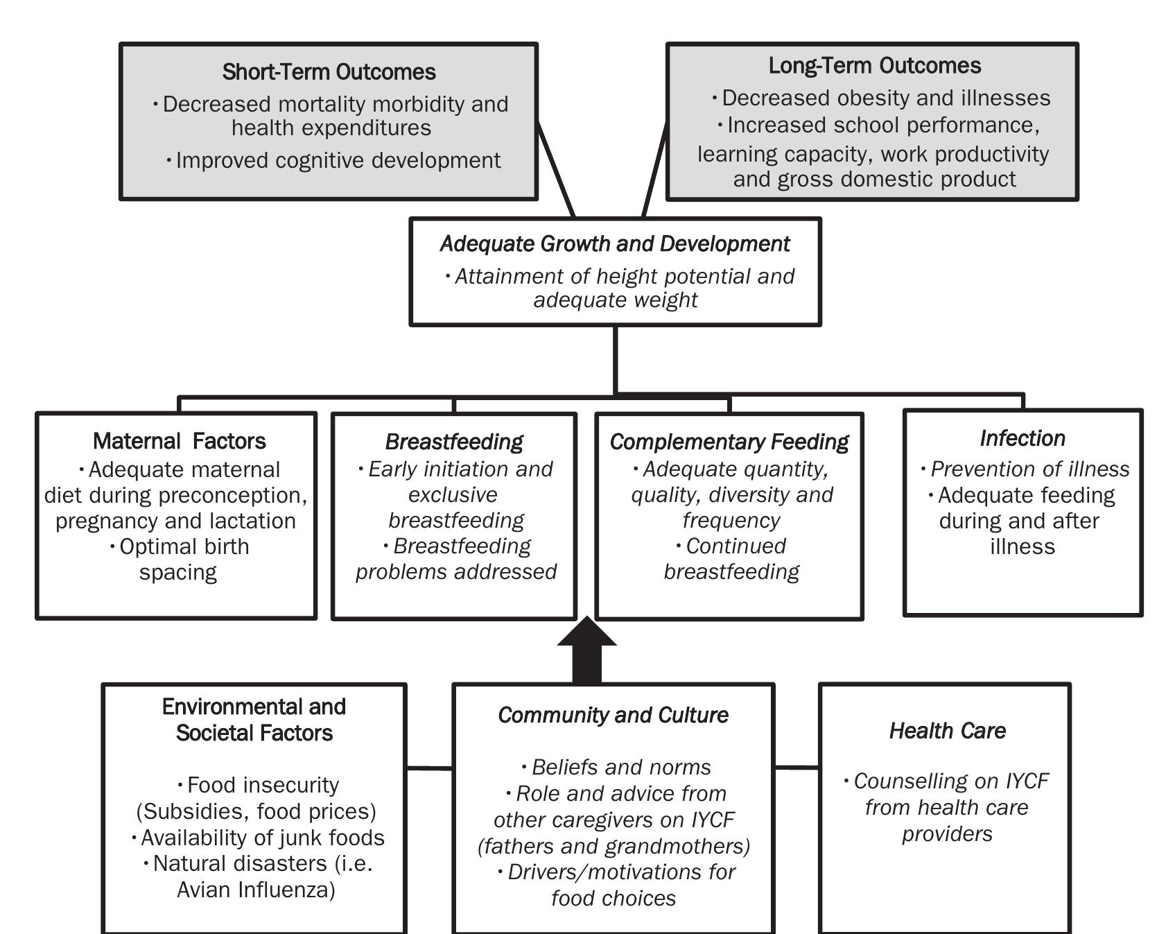 Conceptual framework adapted from world health organization
