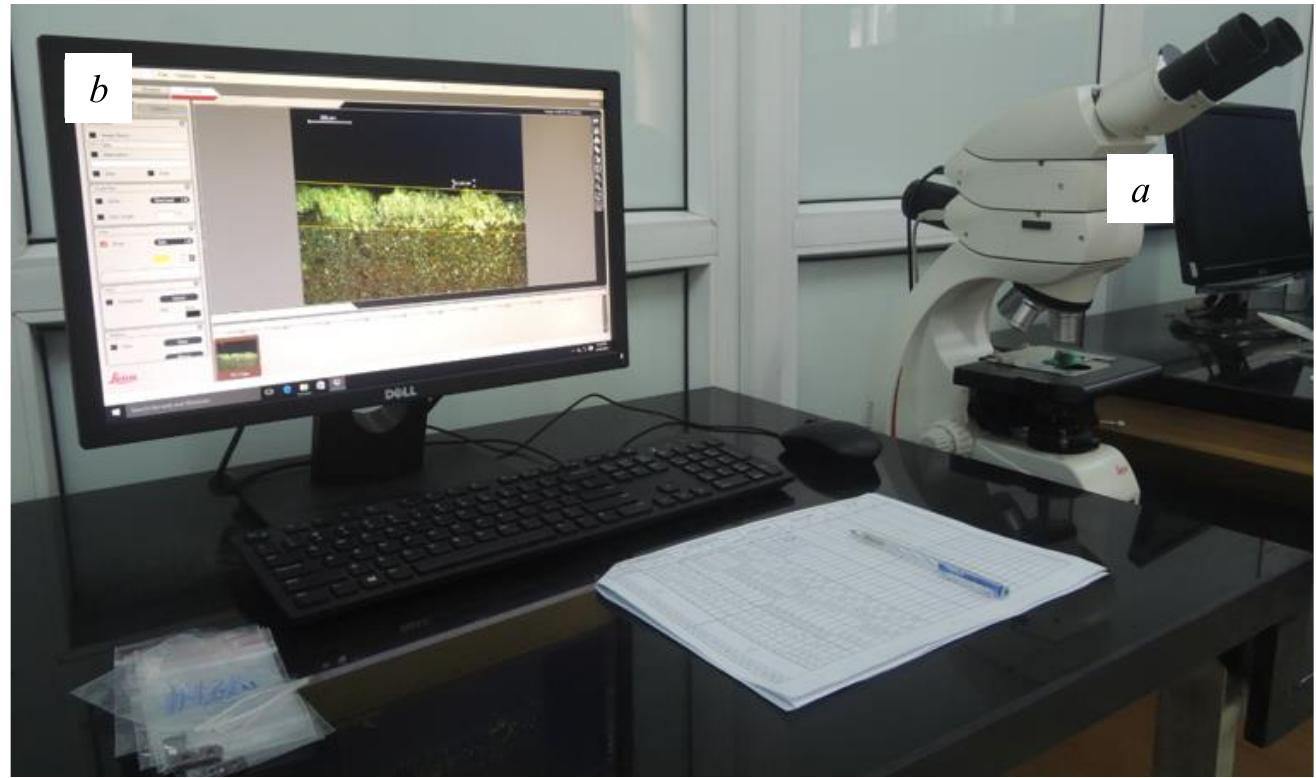 Tool wear measurement system: a — microscope; b — processing