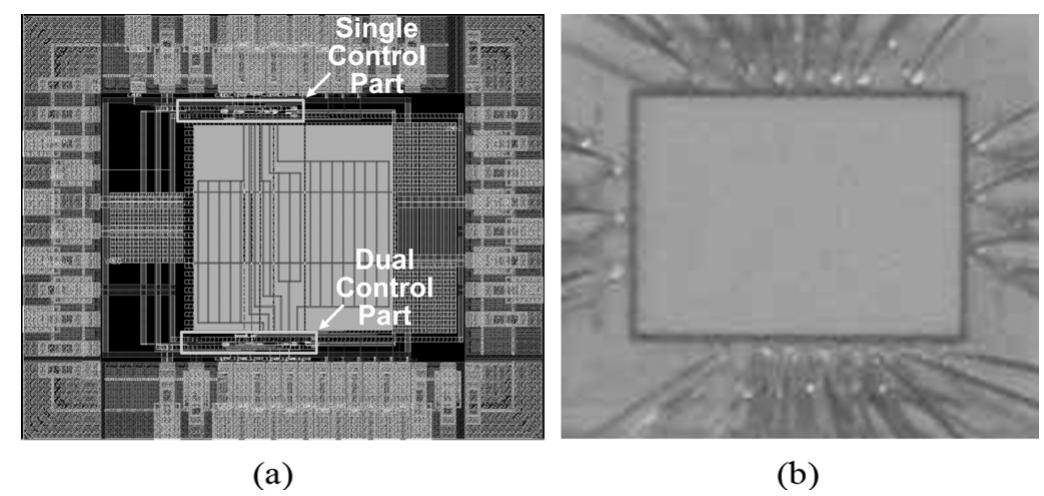 (a) layout view of the full test chip and (b) chip photo