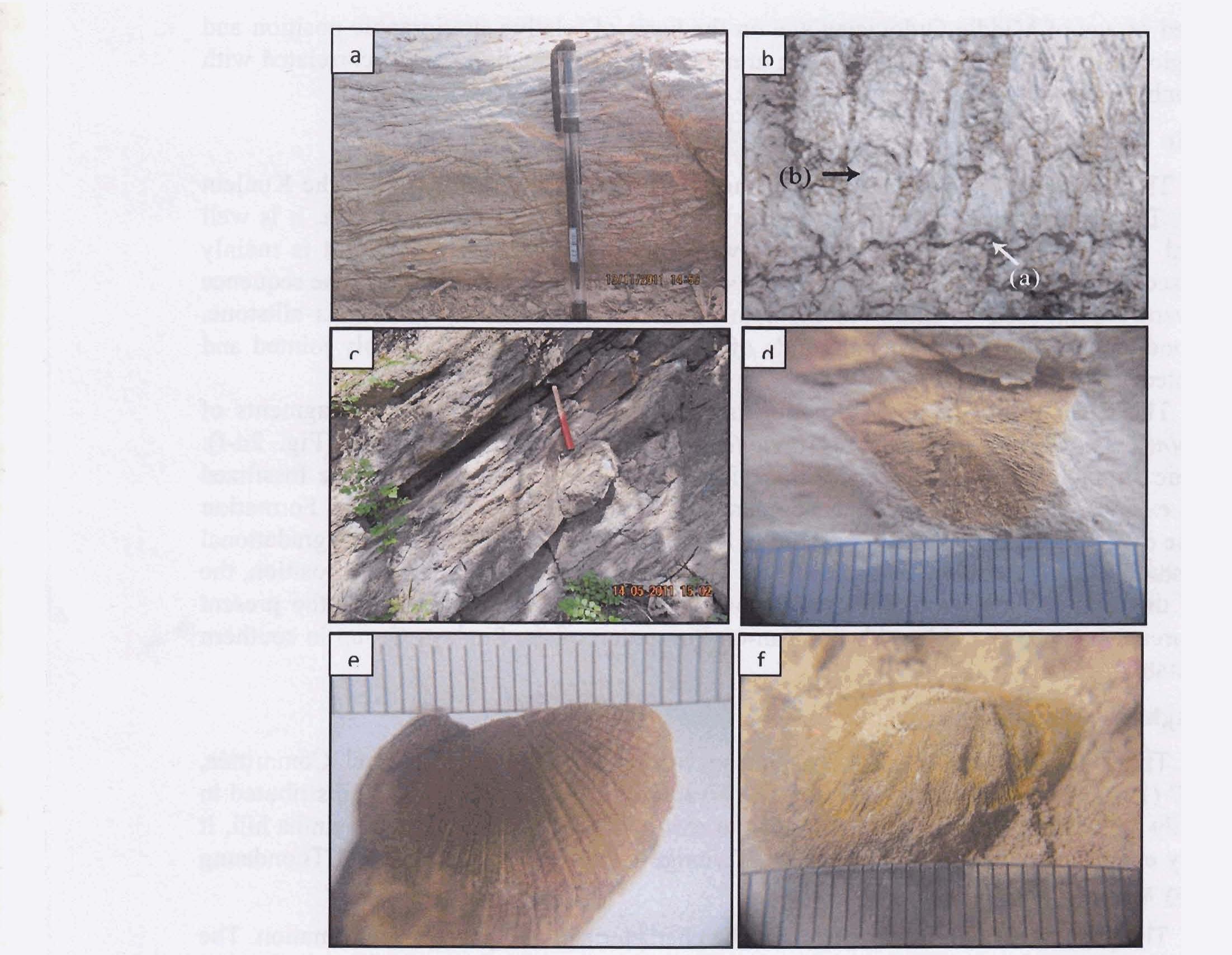 The field photographs of the sitha formation (a & b) and the