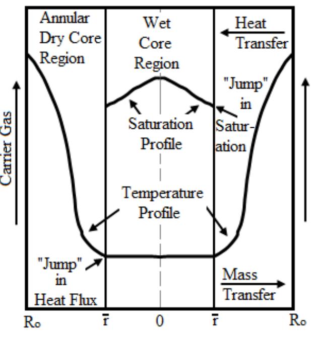 Schematic diagram of temperature and saturation profile and