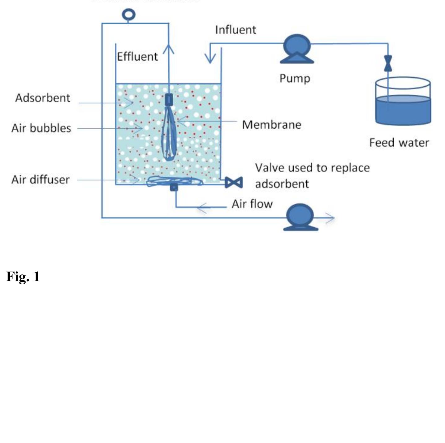 Figure 1 - Submerged membrane – (GAC) adsorption hybrid