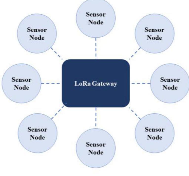 Star topology of lora module.