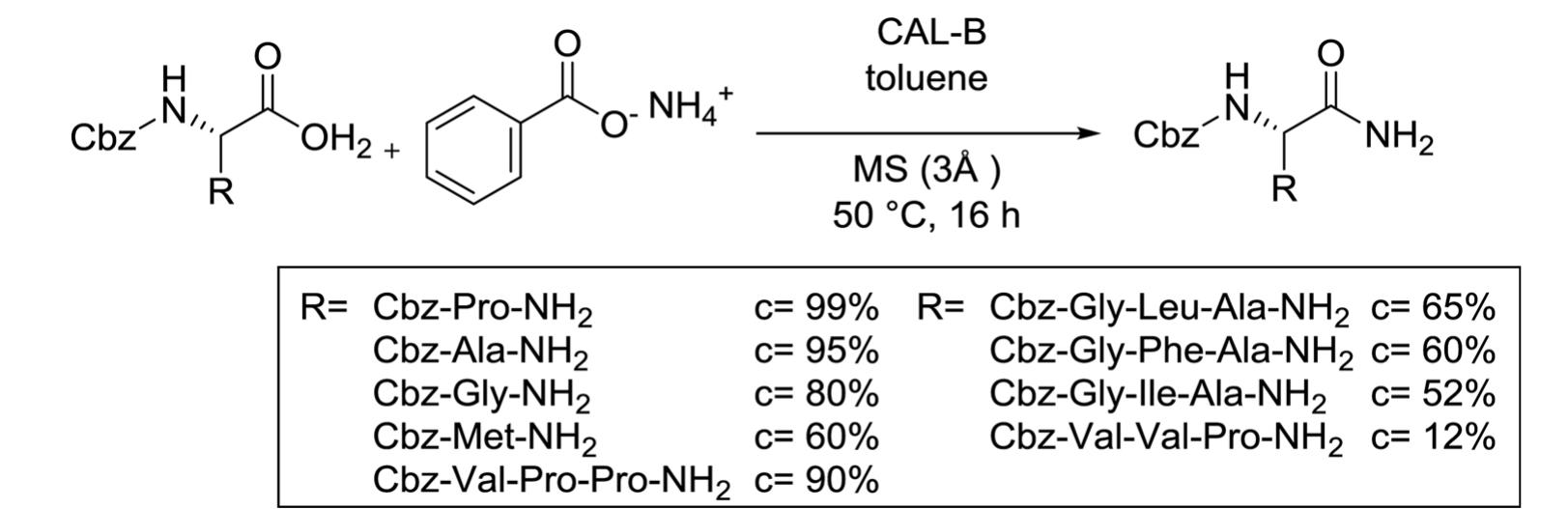 Amidation of amino acids and c-terminal peptides by cal-b.