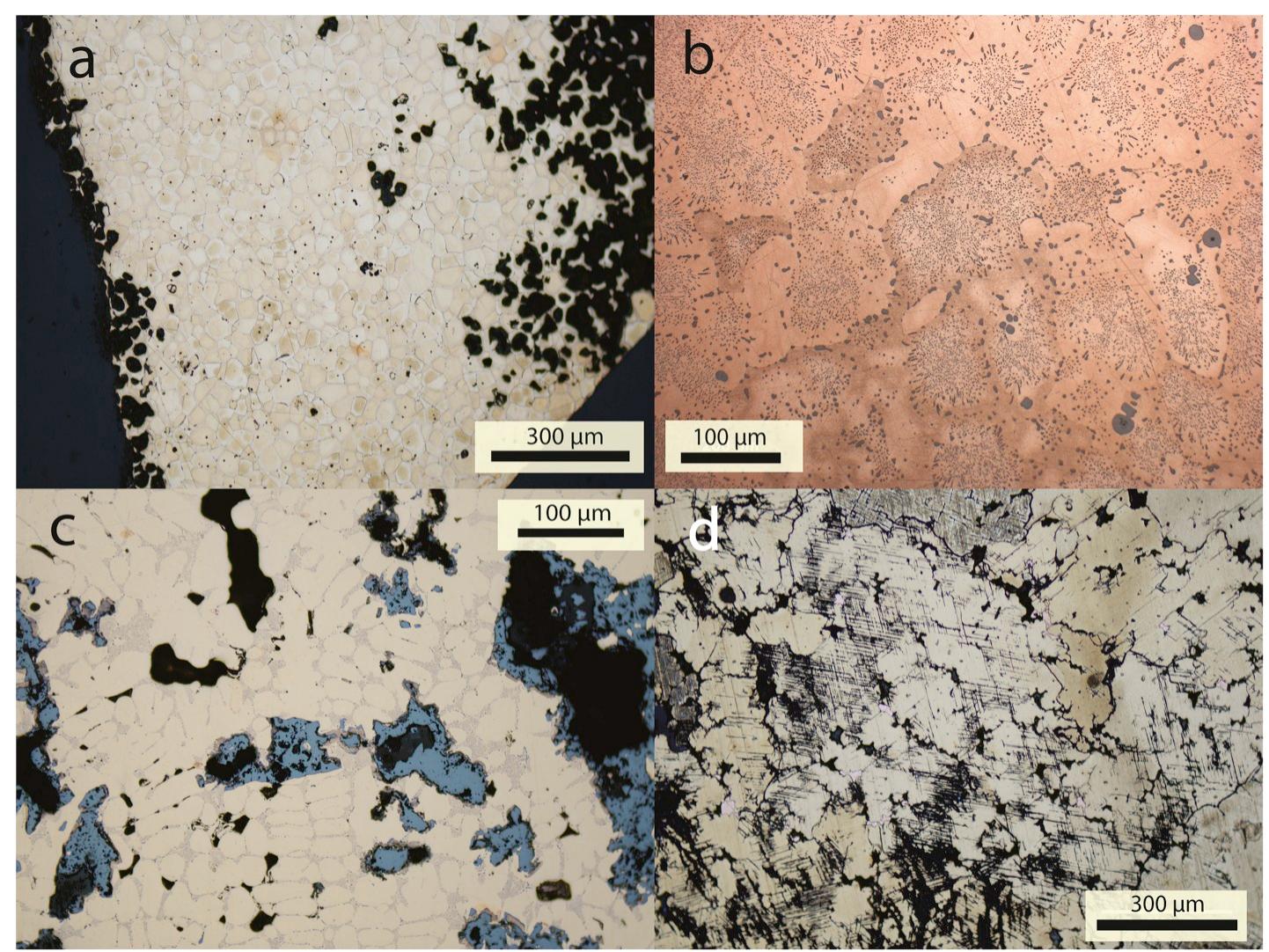 Example of the different type of microstructure observed (a)