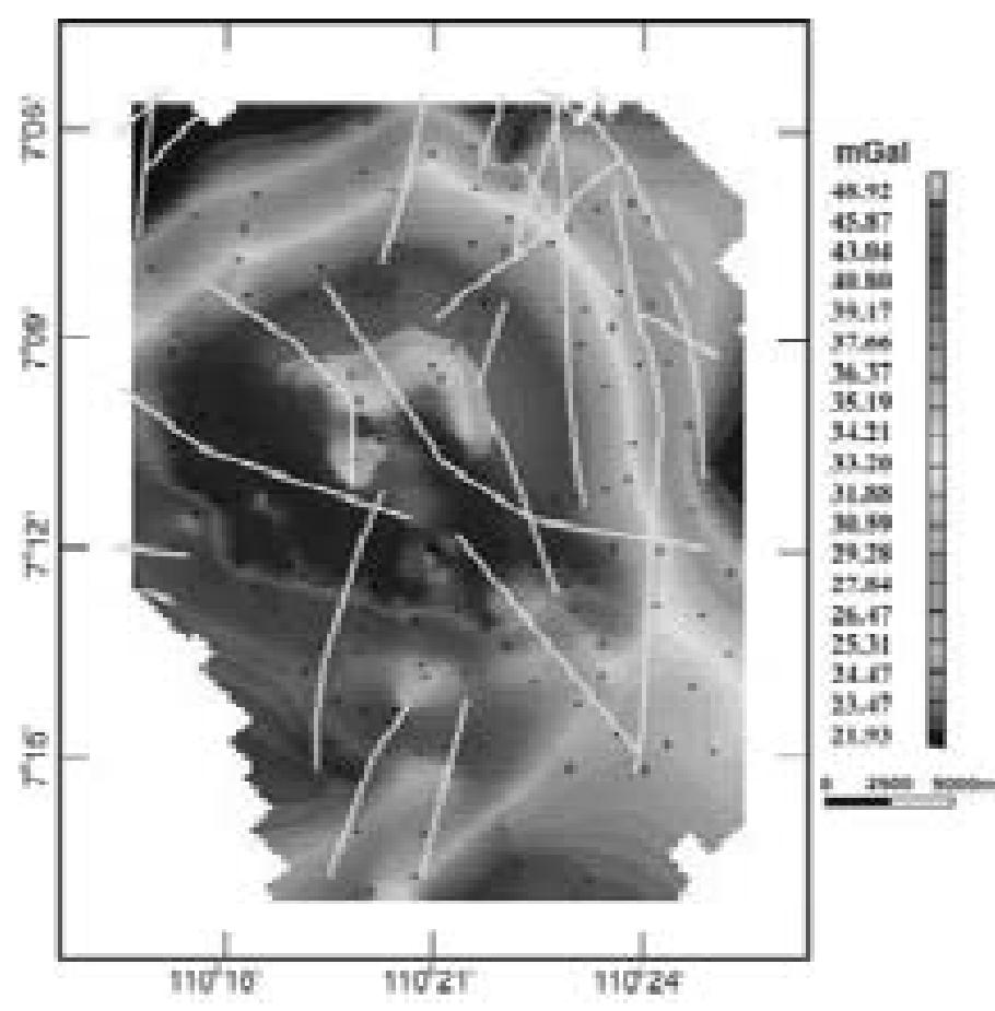 Bouguer gravity map. maps of the fvd and svd are shown in