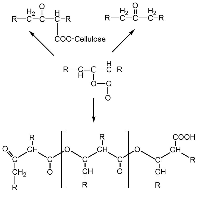 Bottorff 1994), figure 2. the main reaction of akd; with