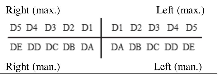 Bosworth numbering system of deciduous teeth 9.