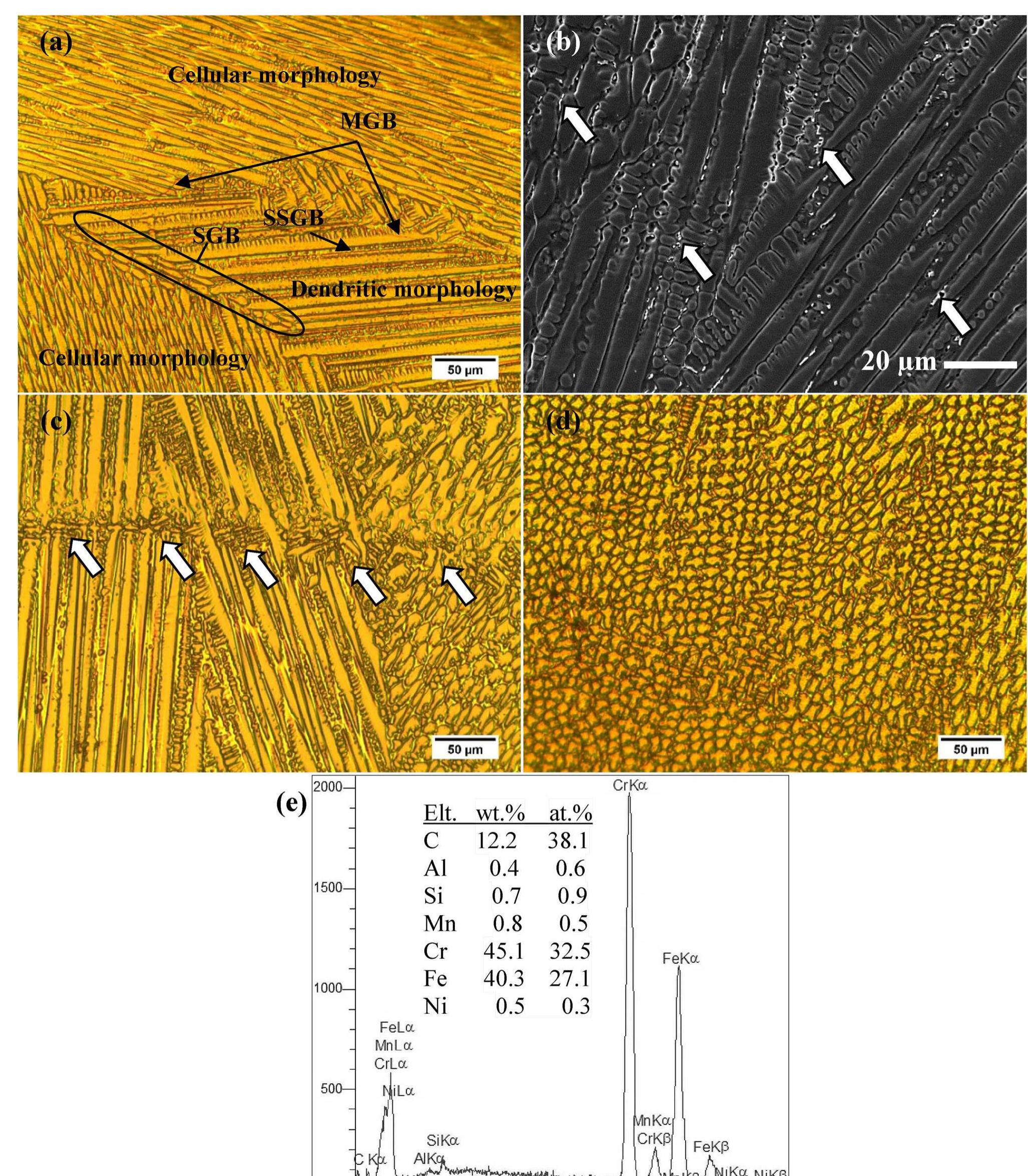The micrograph of the er310 weld metal microstructure (the a
