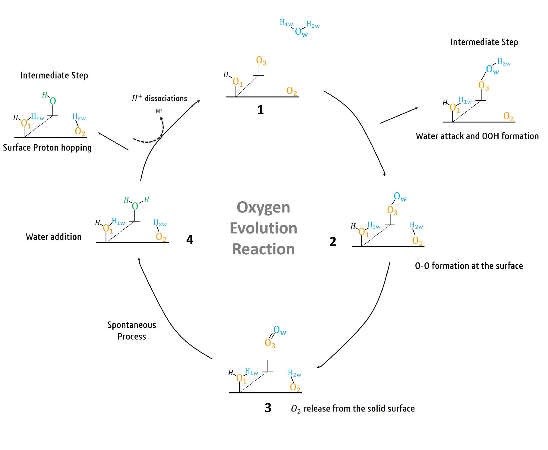 “tg. 2. proposed mechanism of the oer as our reference