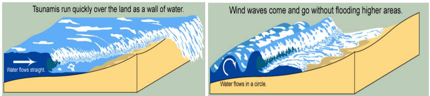| shows the differences between the landfall of tsunami and