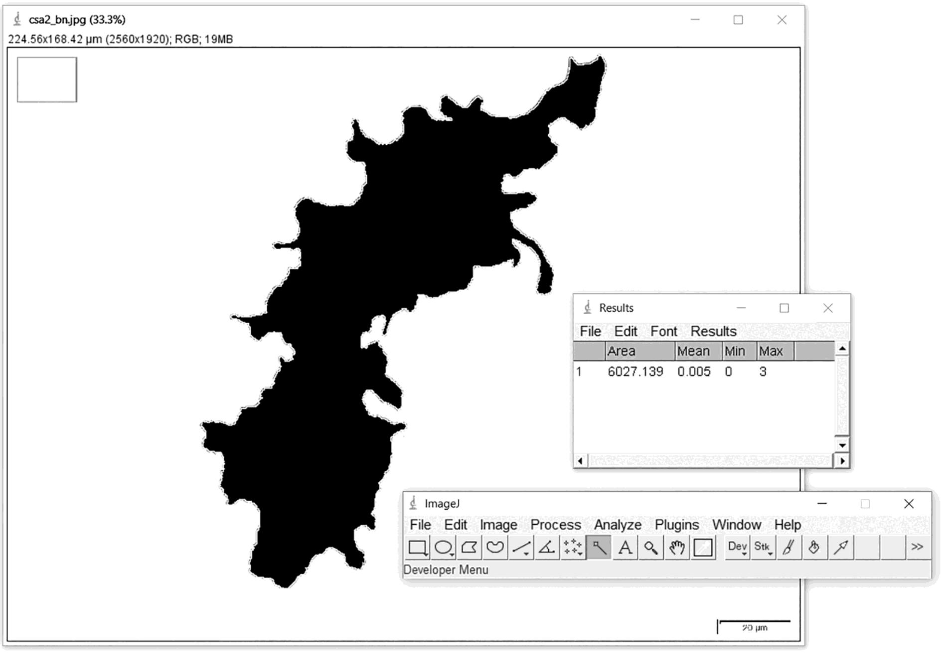 Area calculation from binary image of the cross-section