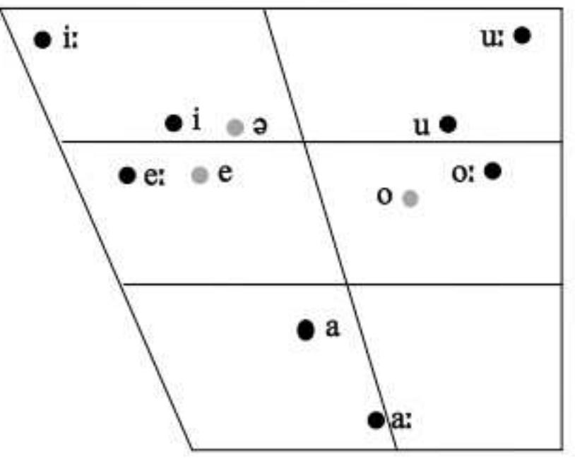 Long vowels (/1:/, /e:/, /a:/, /o:/, /u:/), and three short
