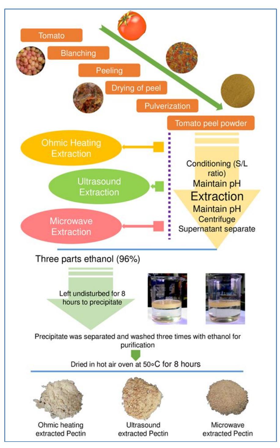 (PDF) Valorization of tomato processing waste: Characterization and ...