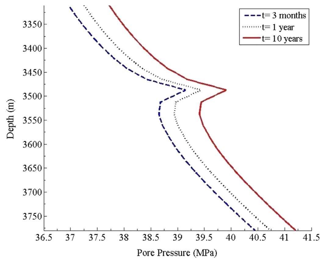 Vertical profile of pore pressure distribution at points