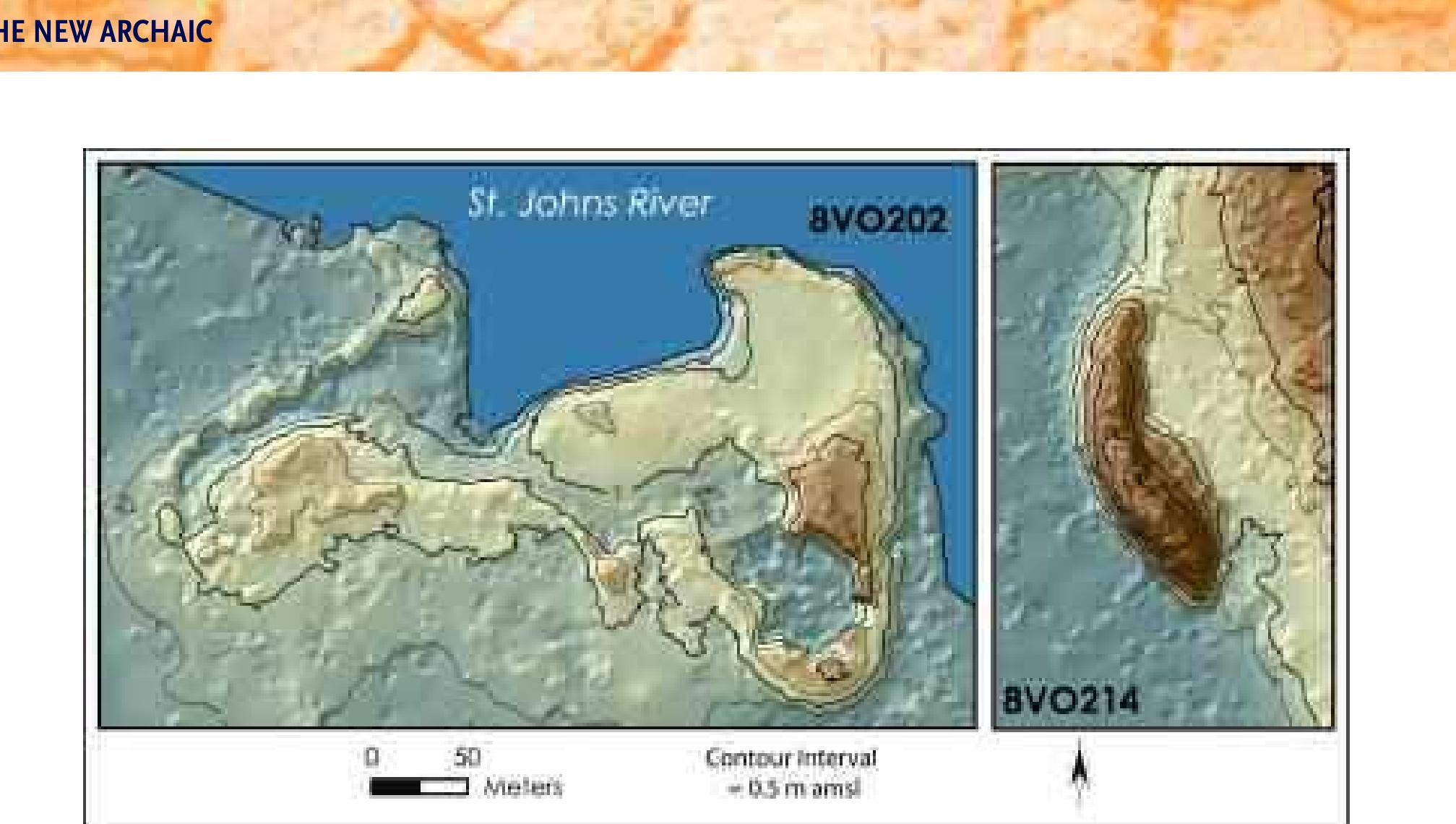 Examples of shell mounds in the st. johns river valley: