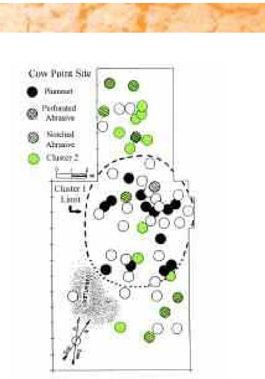 Cow point cemetery showing distribution of earlier cluster 1