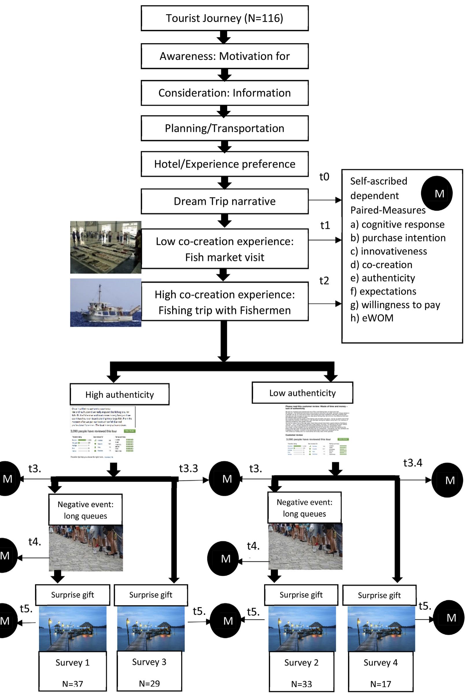 Flowchart of the experiment design.