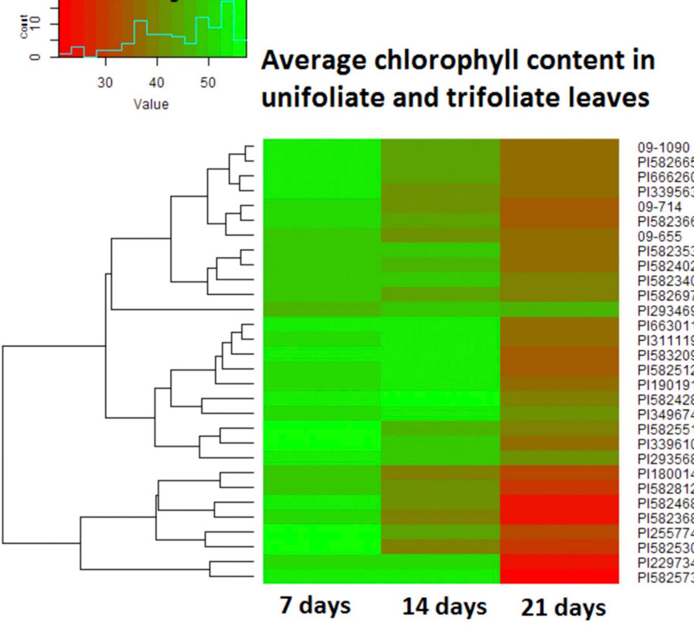 Heatmap of the average chlorophyll content (spad) in