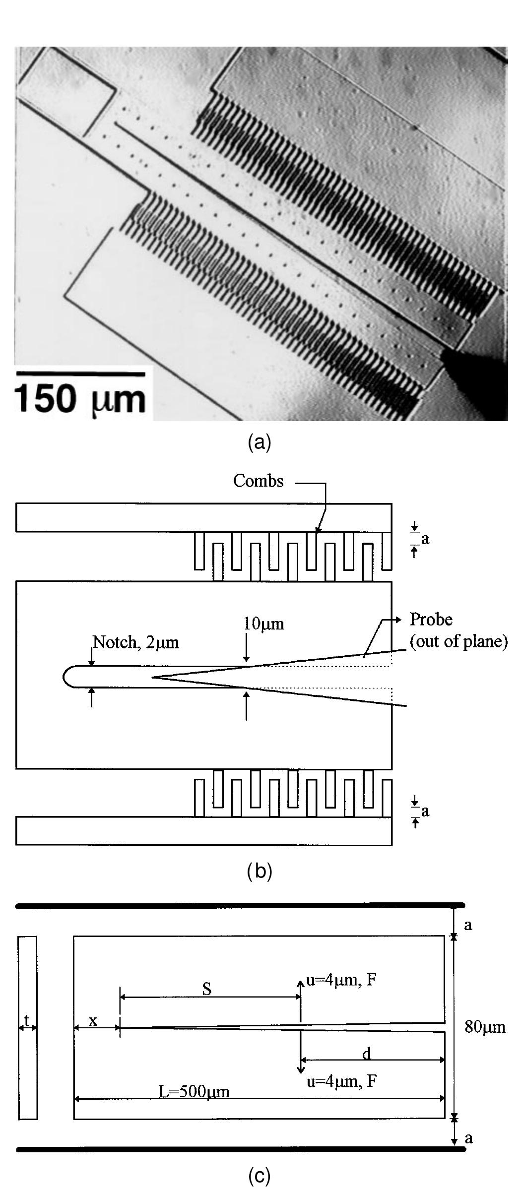 (a) micrograph of wedge loaded microfracture specimen; (b)