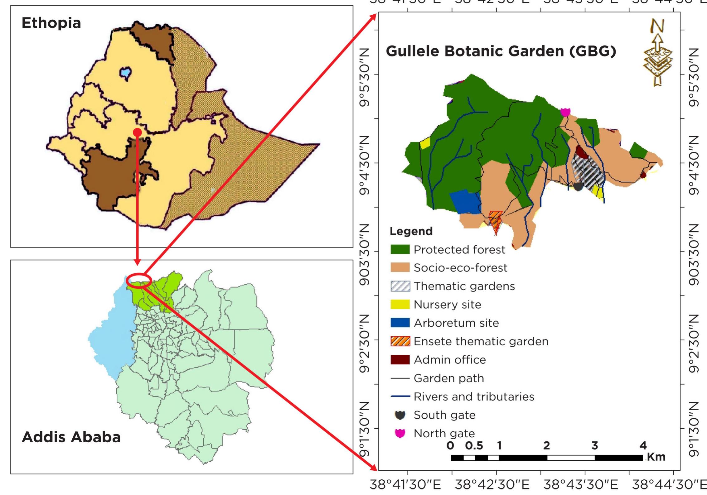 Map showing the location of addis ababa in ethiopia, gbg's