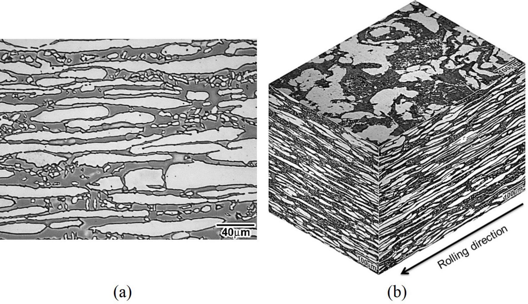 Cross-section microstructure of the uns $32205 duplex