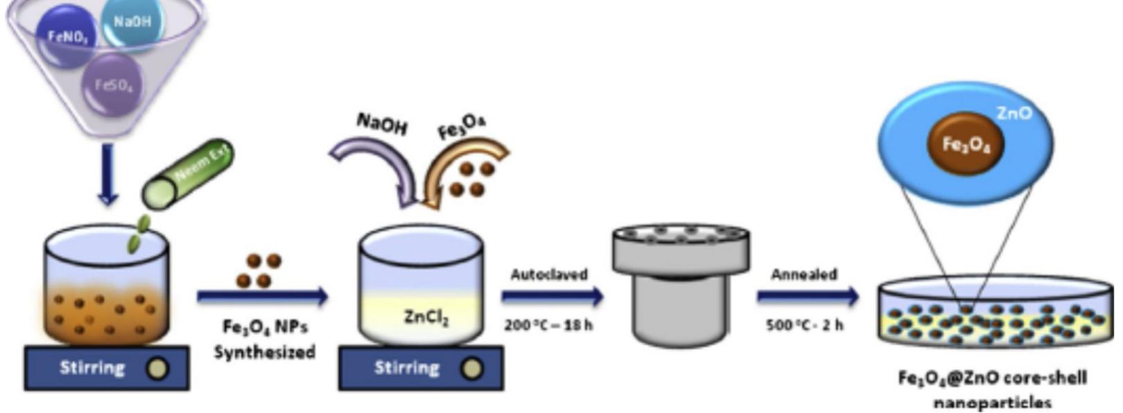 Schematic diagram of fes0,@zno core-shell nanoparticles