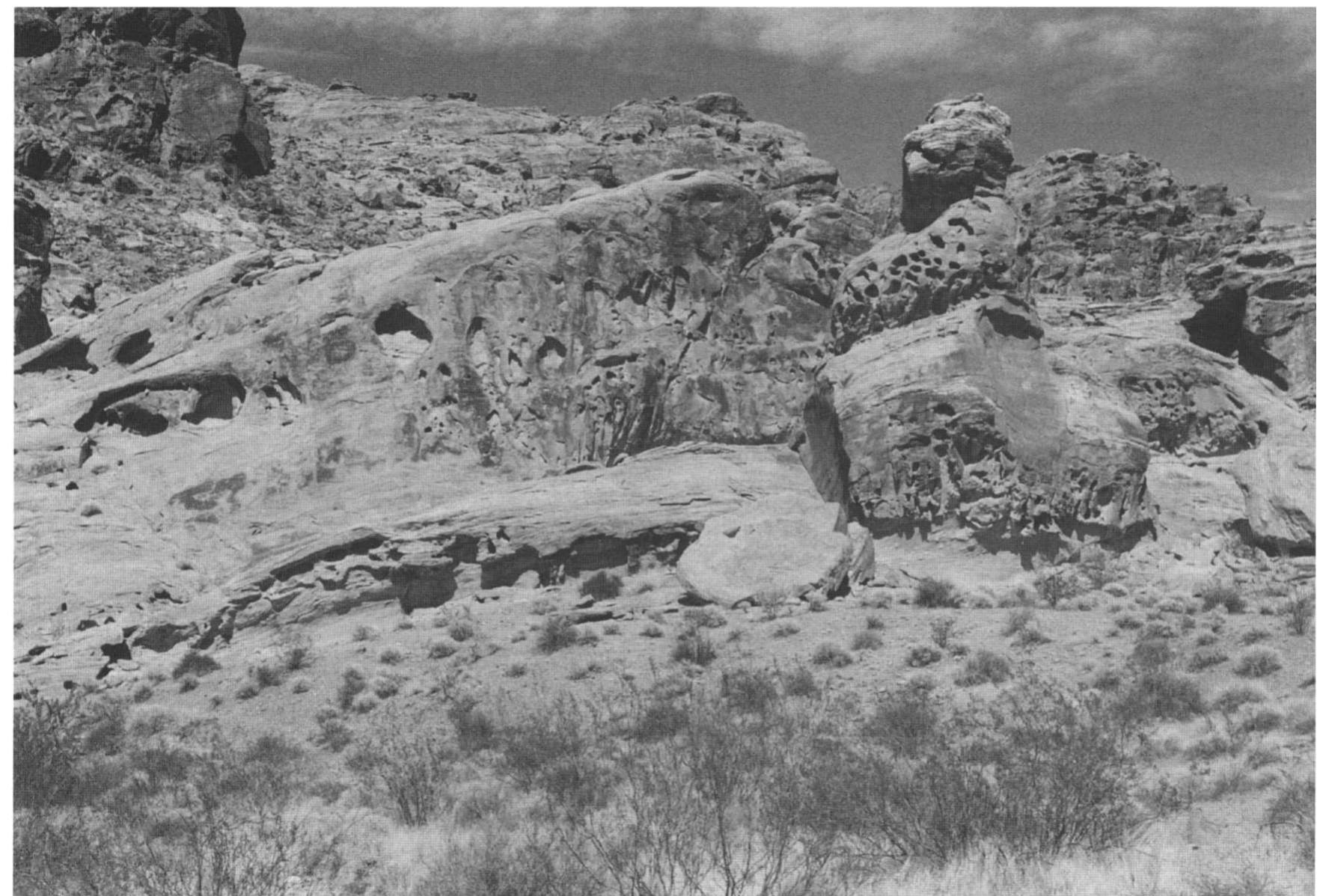 Cavernous weathering in valley of fire state park.