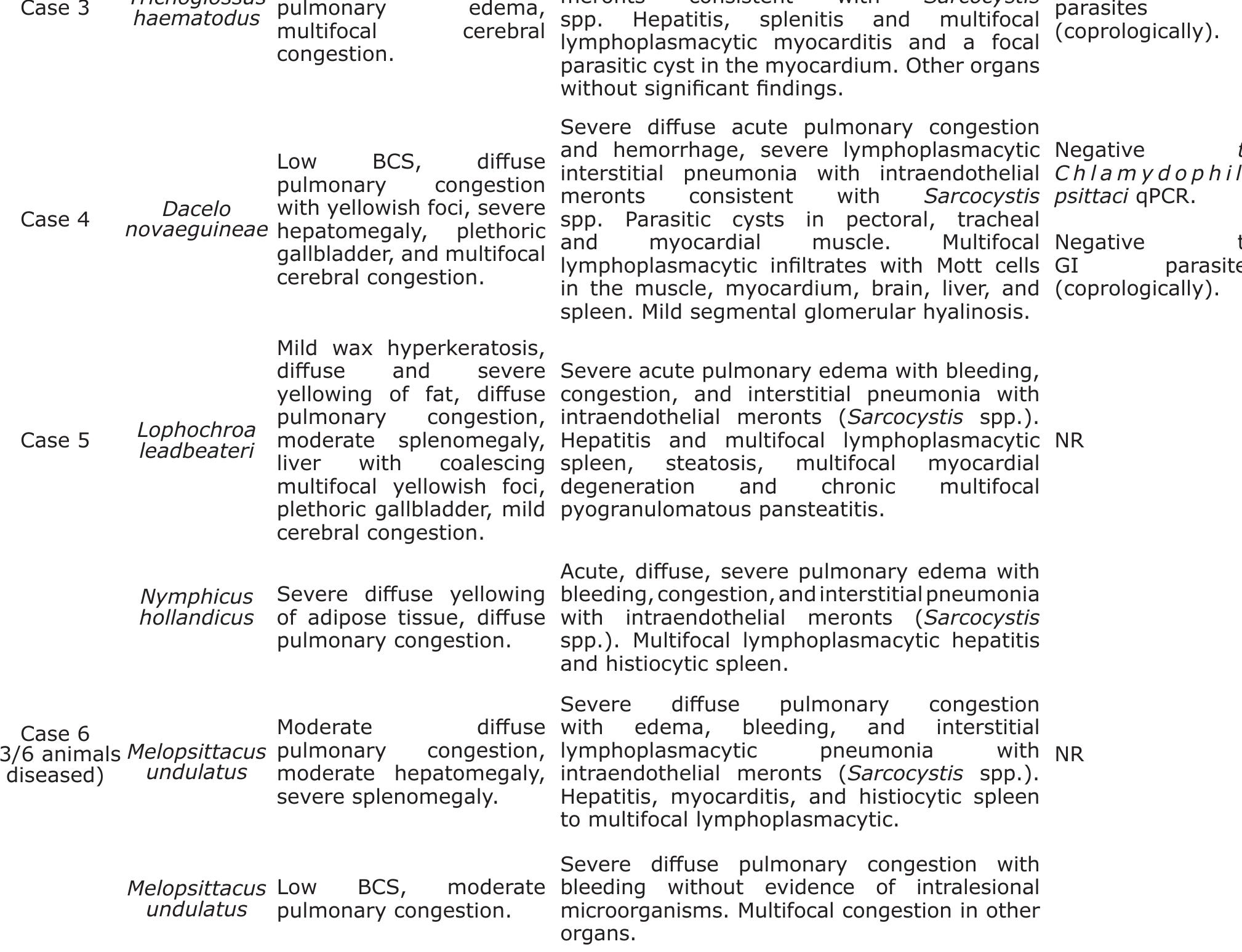 Bcs: body condition score; ihq: immunohistochemistry; hrp: