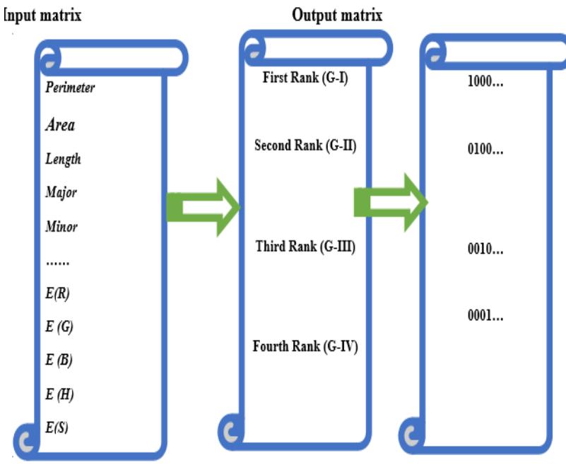 Vector representation of input and output features there are
