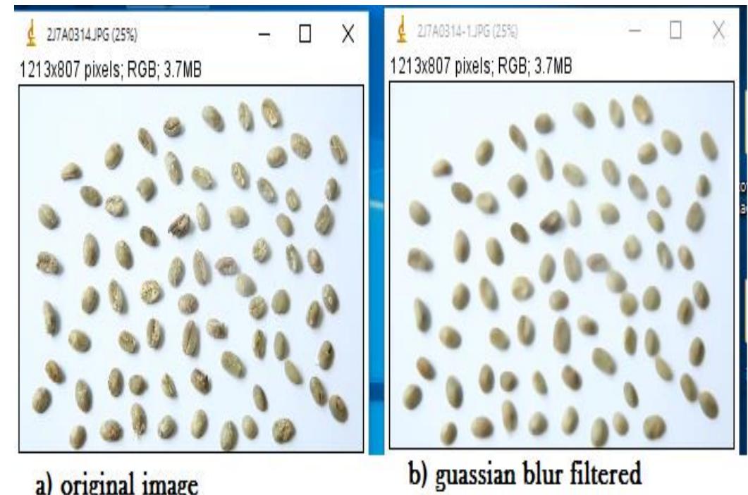 The images were further pre-processed by imagej tool and