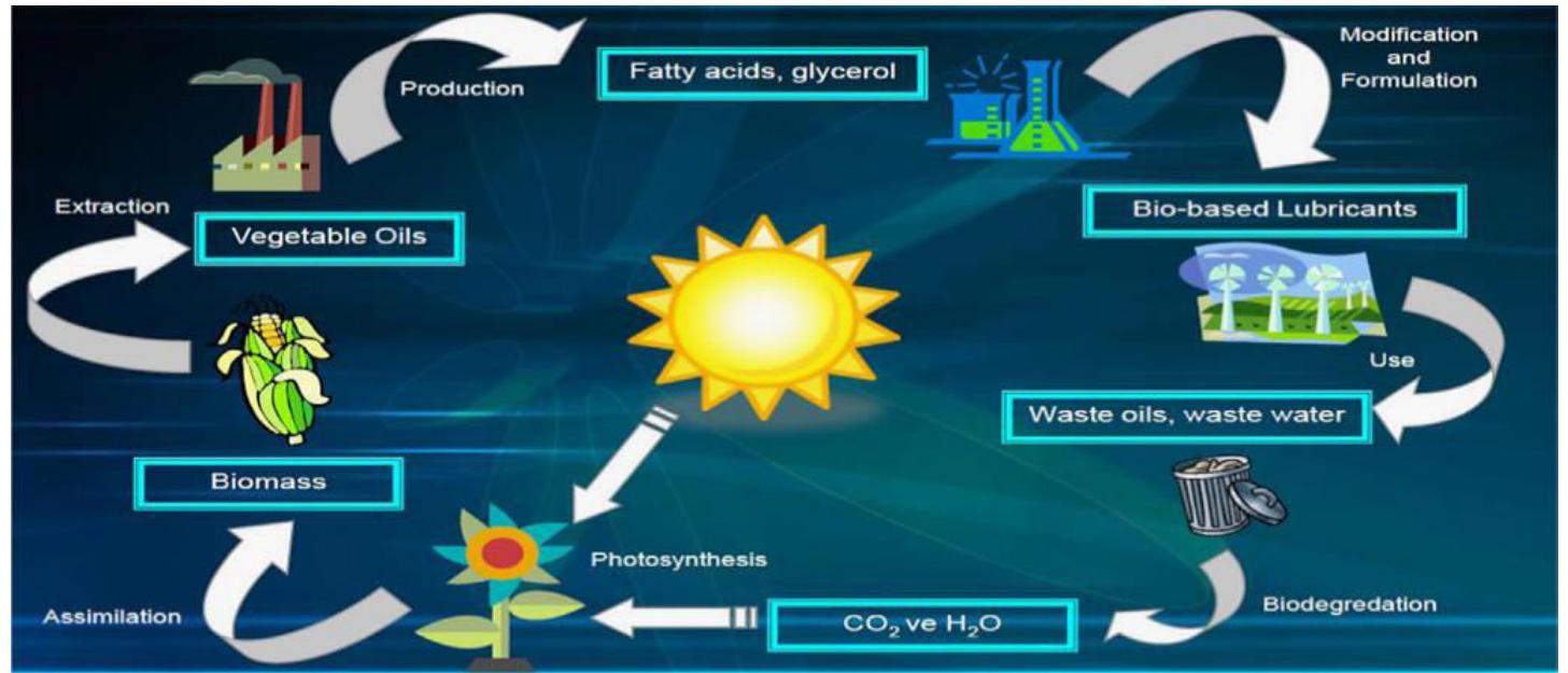 Life cycle of bio-based lubricants [15]