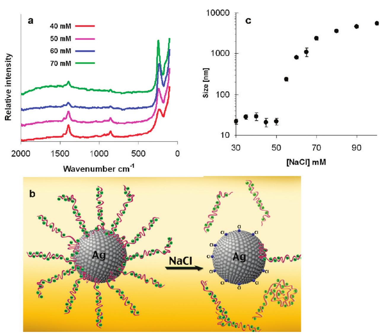 (a) sers spectra of ag nps with increasing nacl