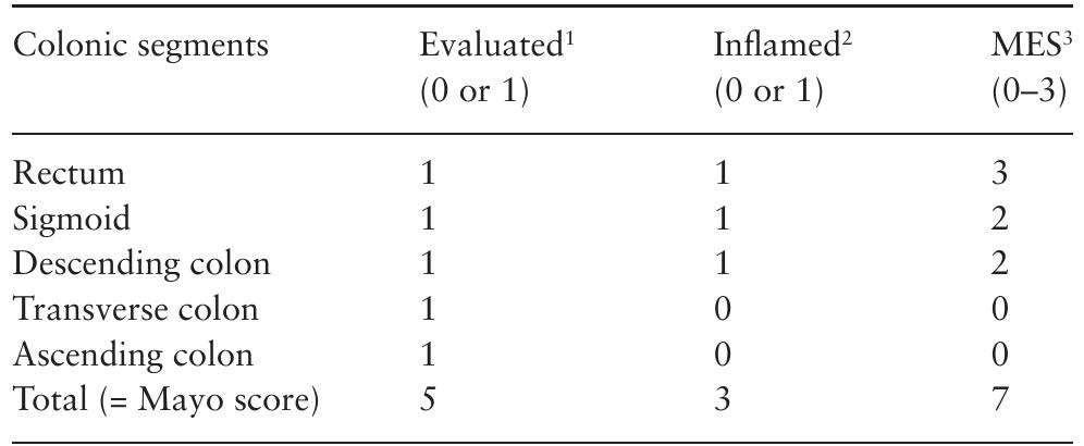 Example of calculation of the modified mayo endoscopic score