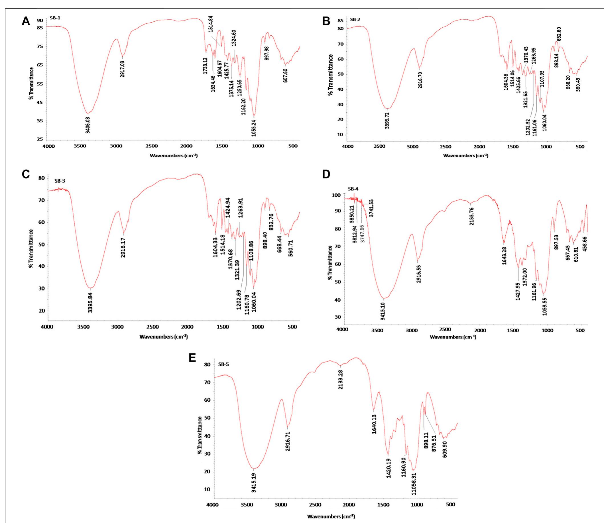 | fourier transform infrared (ftir) spectra of untreated,
