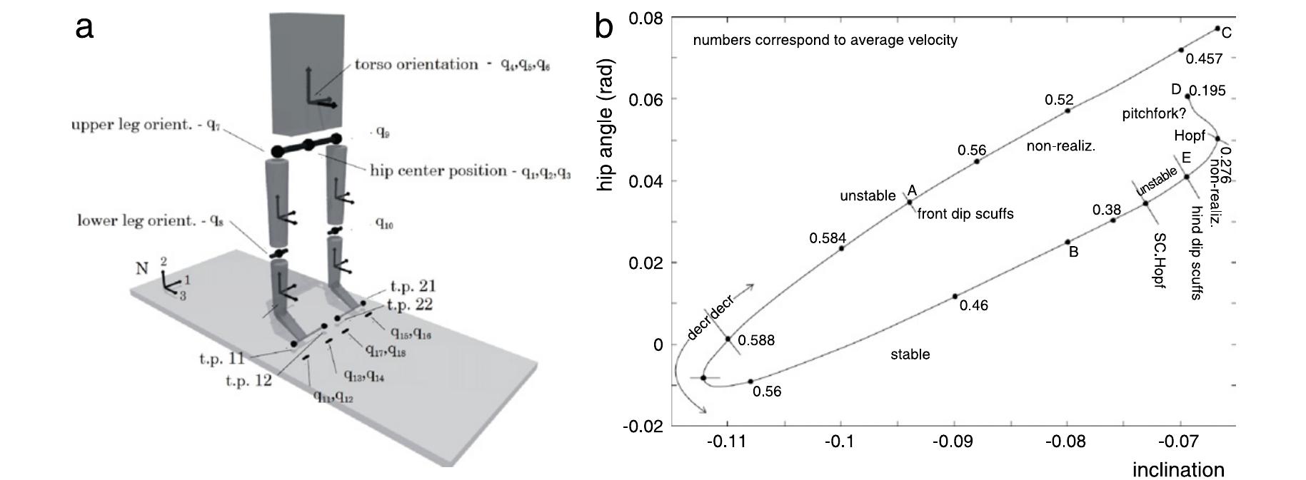(a) the geometry of 3d walker, (b) bifurcation diagram [28].