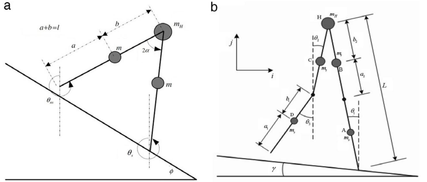 Models of the (a) compass-like biped, (b) kneed passive