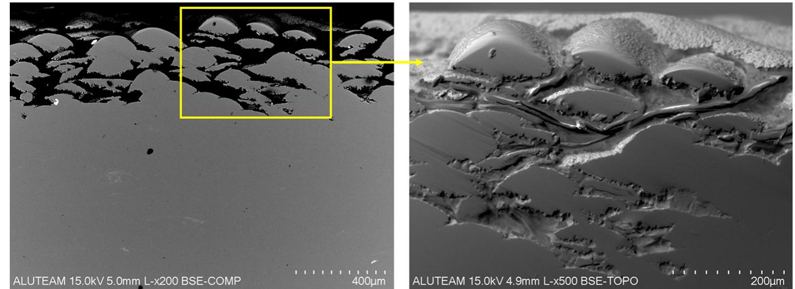 _ sem cross-section images of the as-built/igc specimen.