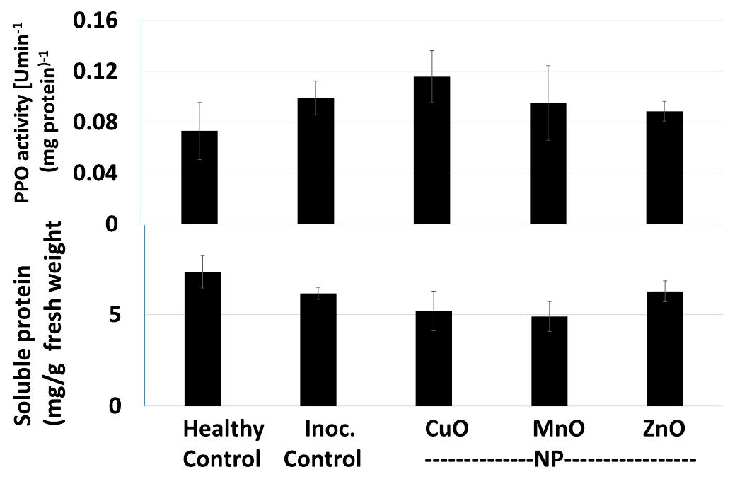 Levels of polyphenol oxidase (ppo) activity and total