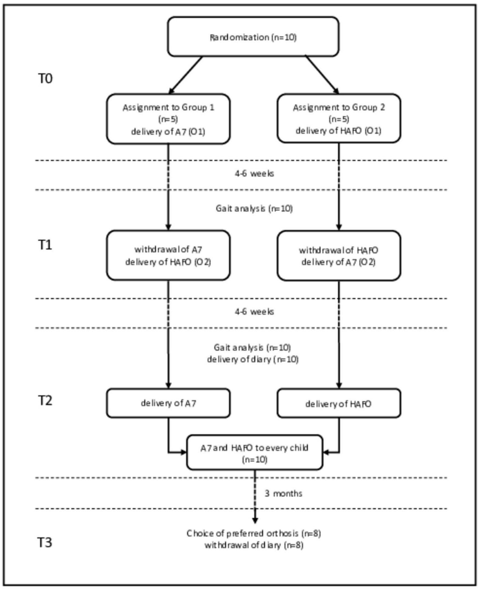Flow chart of randomization and phases of the study. is
