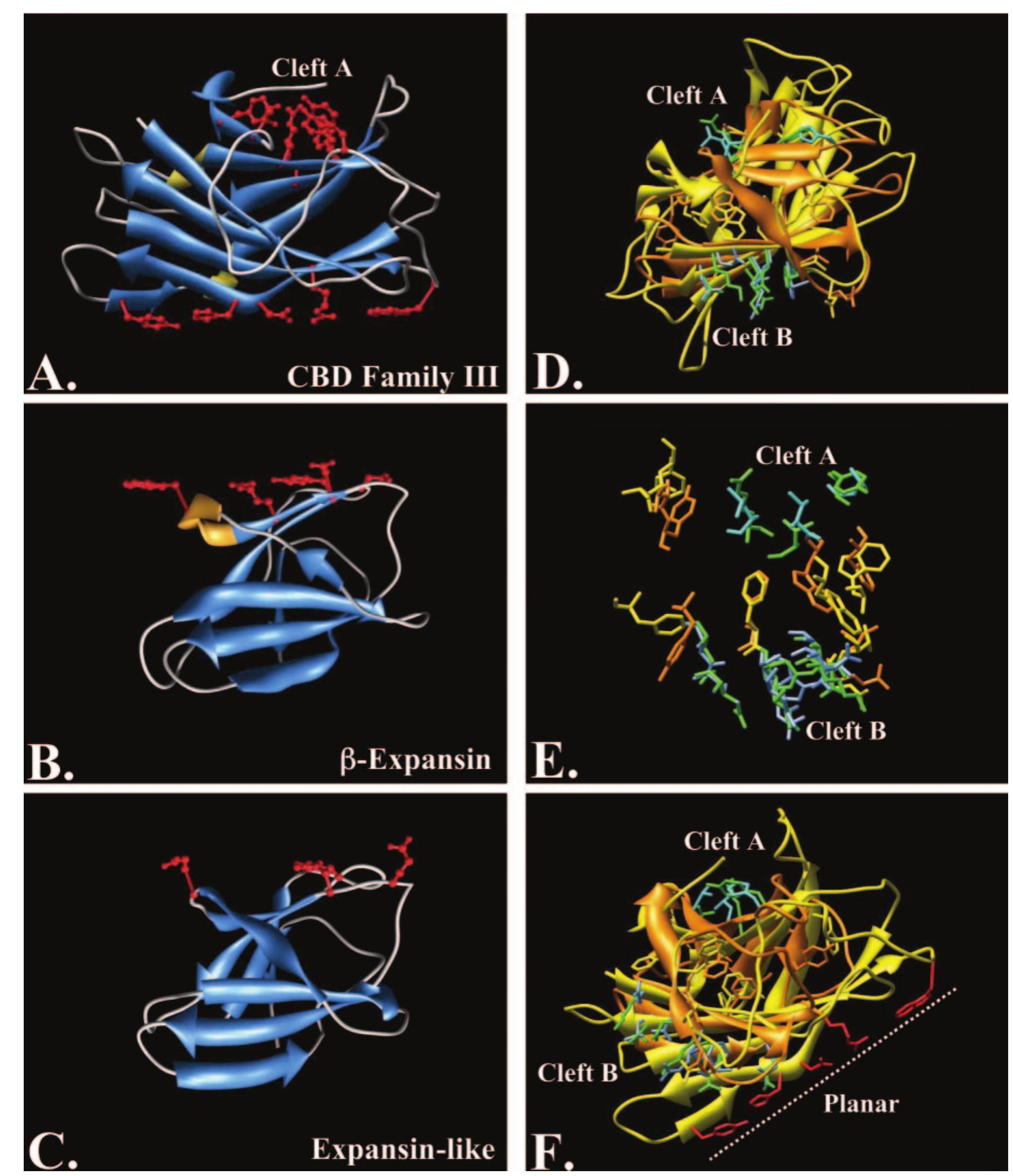 3d structures of plant and bacterial cbms. (a to c)