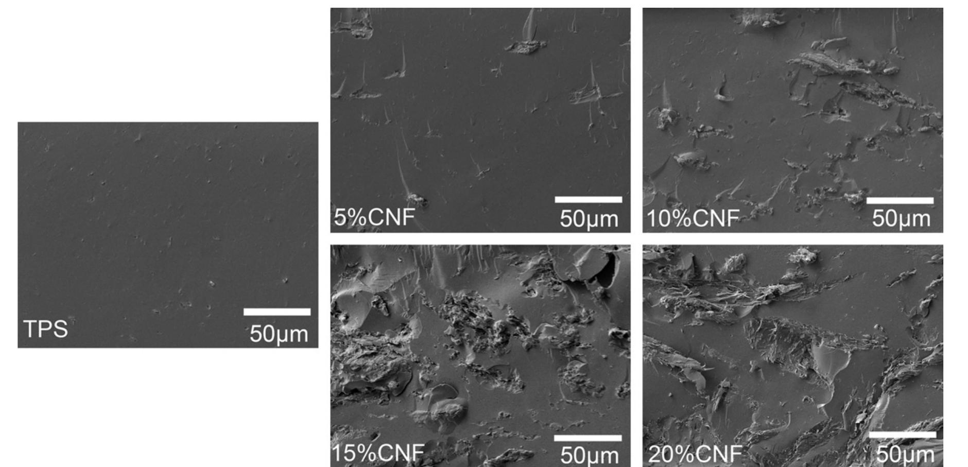 Fracture surfaces of the tps and tps/cnf composites with 5,