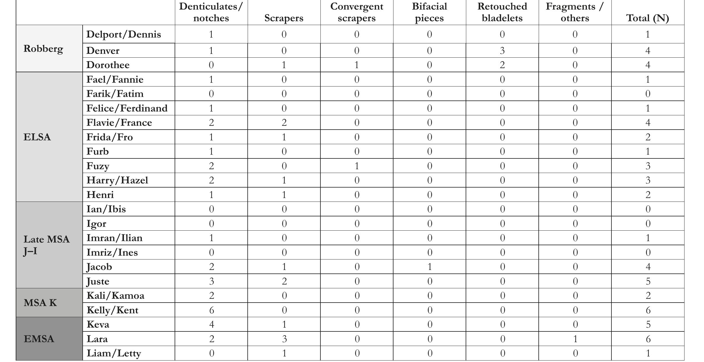 Typological classification of the 2011 lithic collection