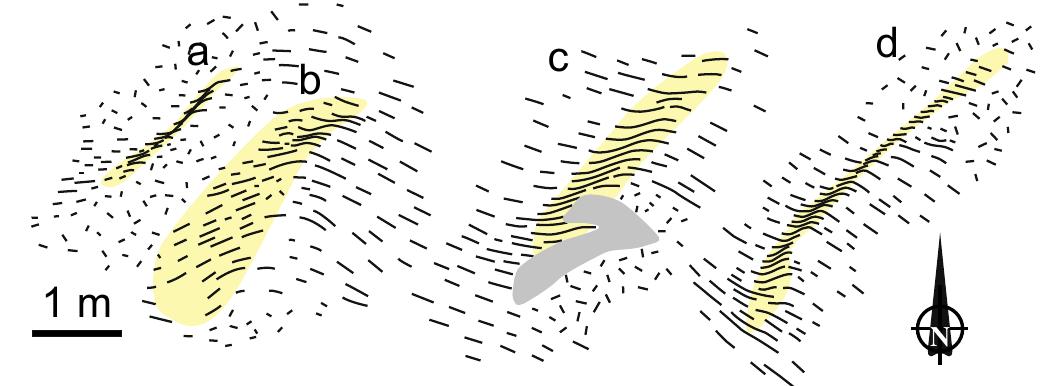 (PDF) Shear zones – A review