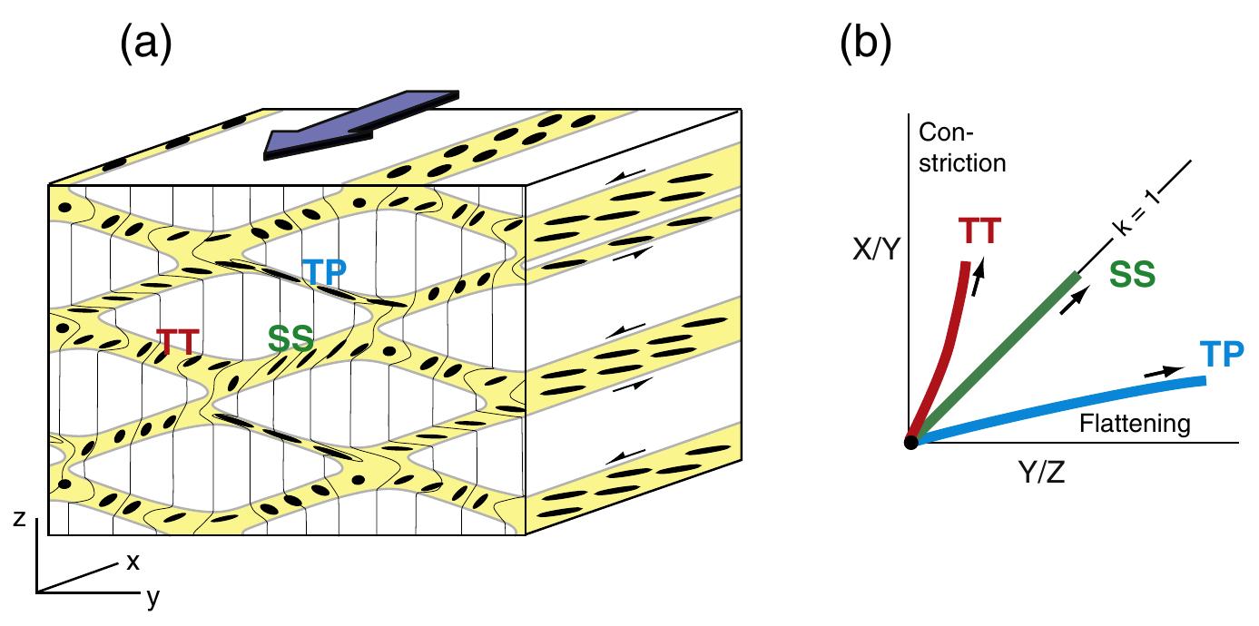 (PDF) Shear zones – A review