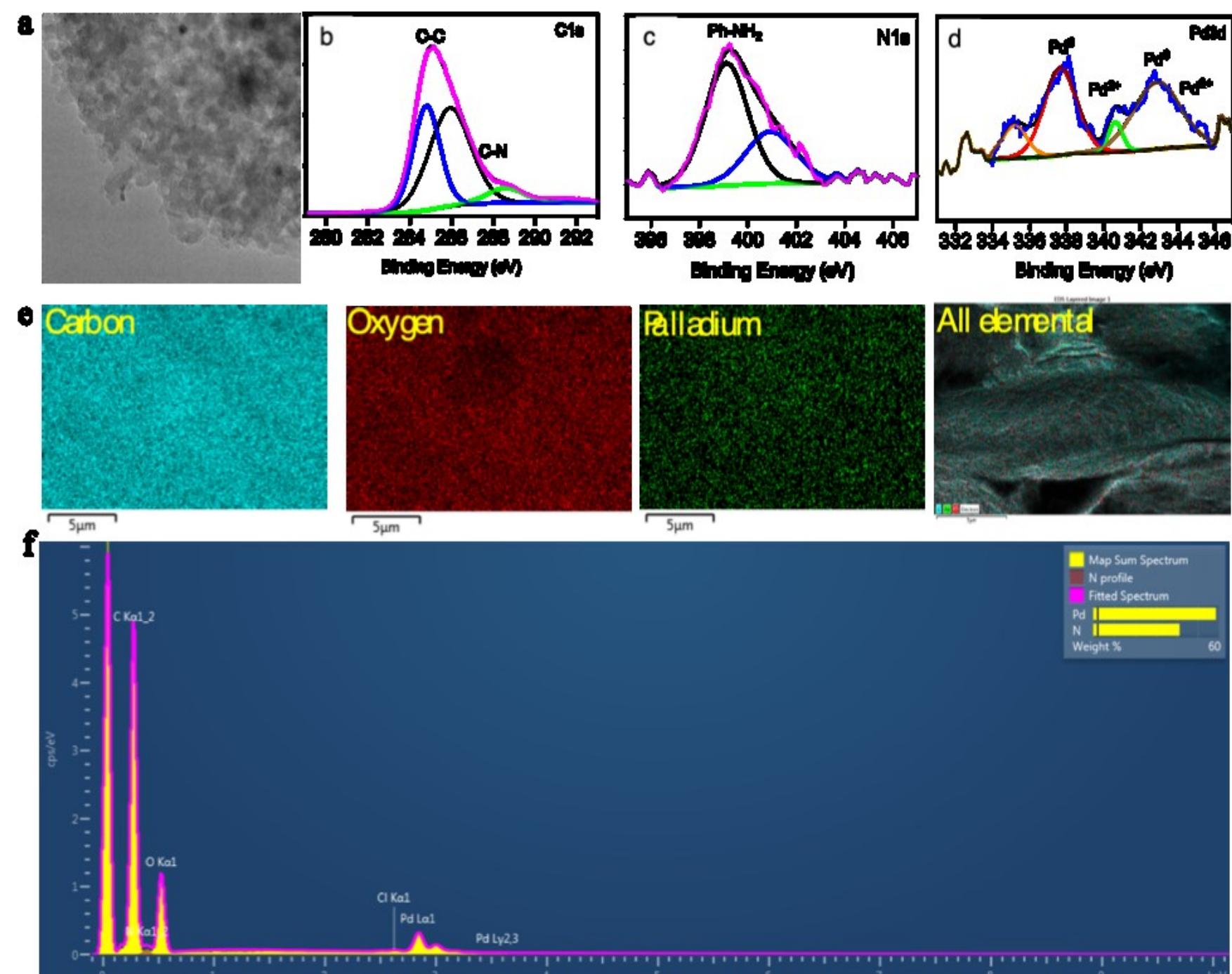 (a) tem, (b) xps spectra of c 1s, (c) xps spectra of n 1s,