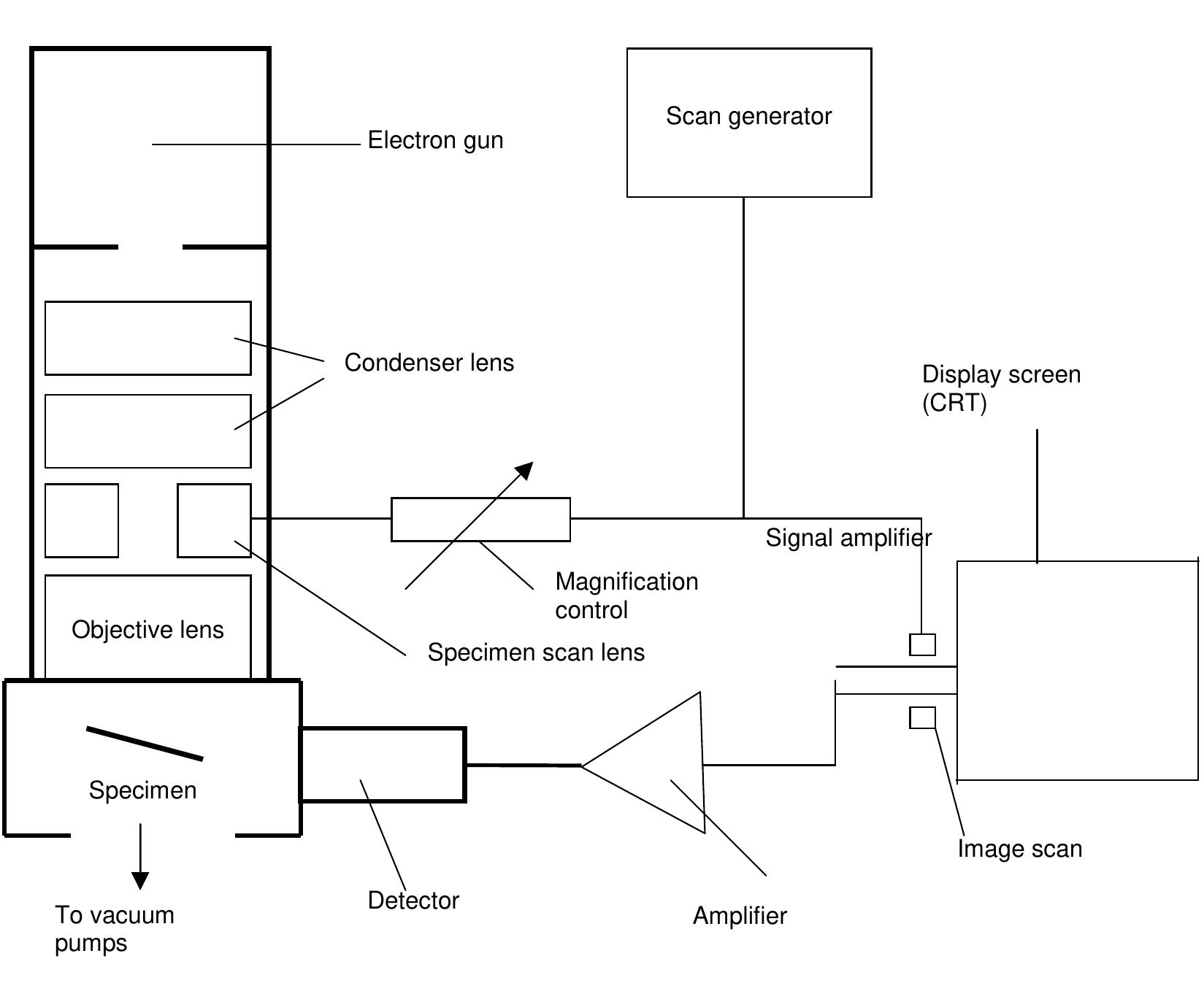Schematic diagram of a scanning electron microscope. gun.